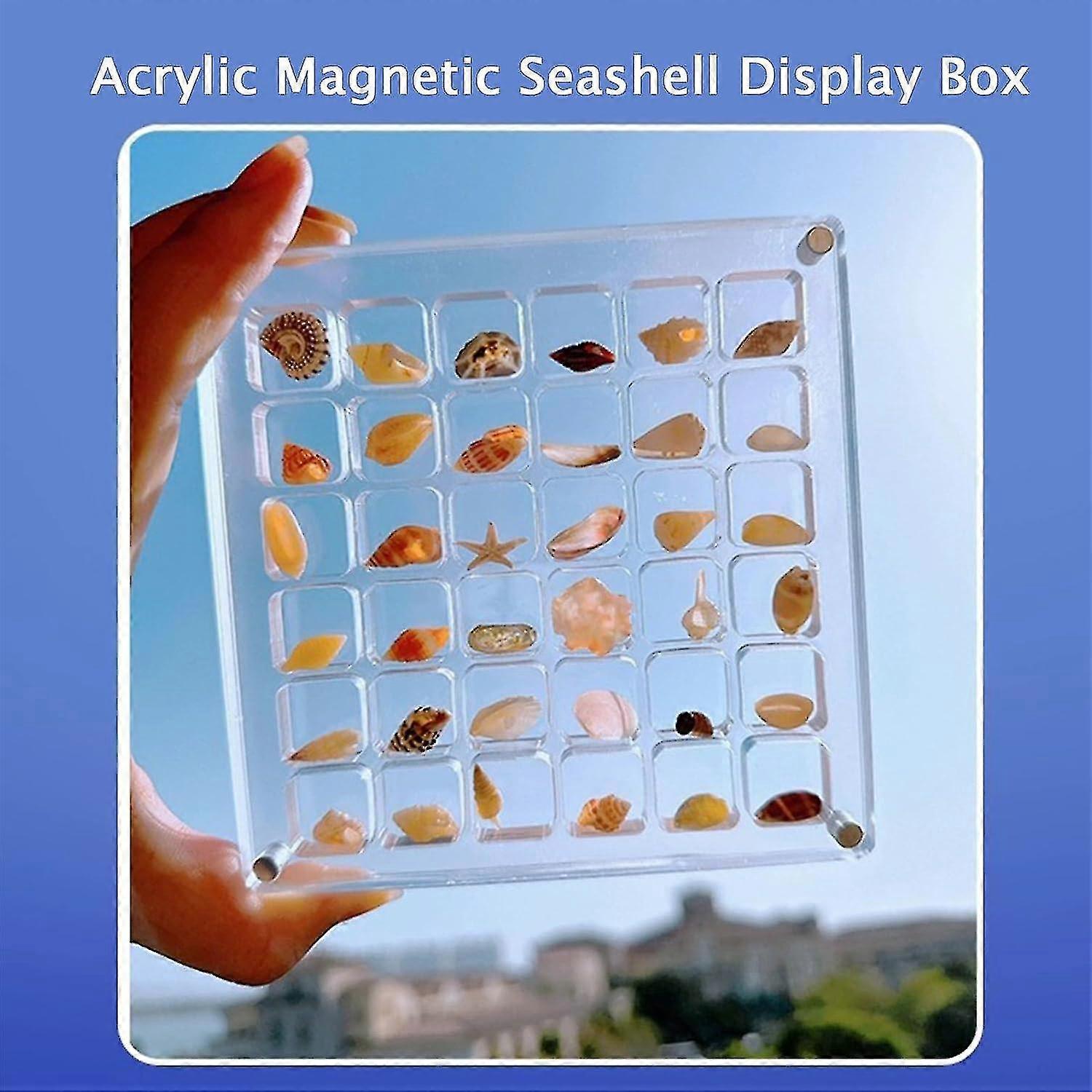 Acrylic Magnetic Seashell Display Box, Seashell Storage Box Display ...
