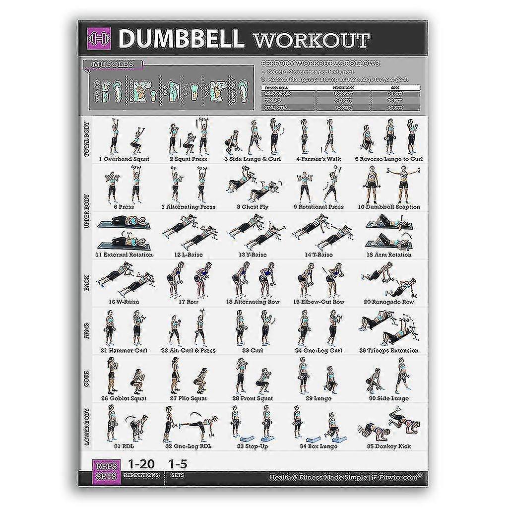 Learning Dumbbell Workout Exercise Poster Laminated Free Weight Body ...