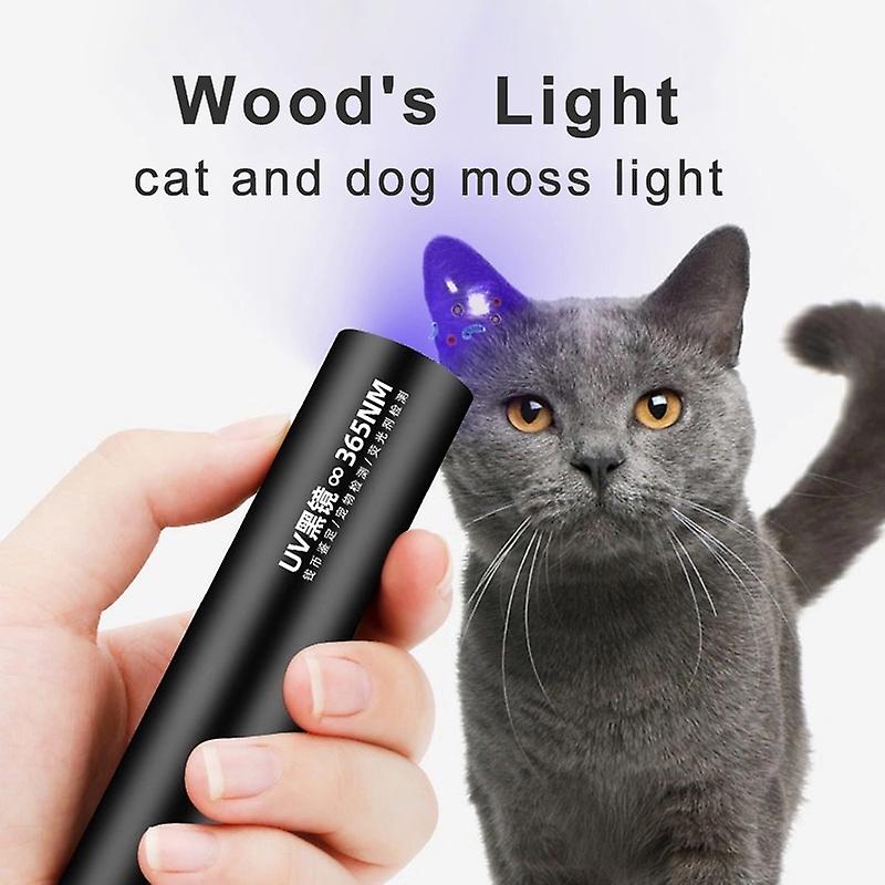 Dog And Cat Ringworm Detector UV Ringworm Lamp Pet 365nm Fungus Test ...