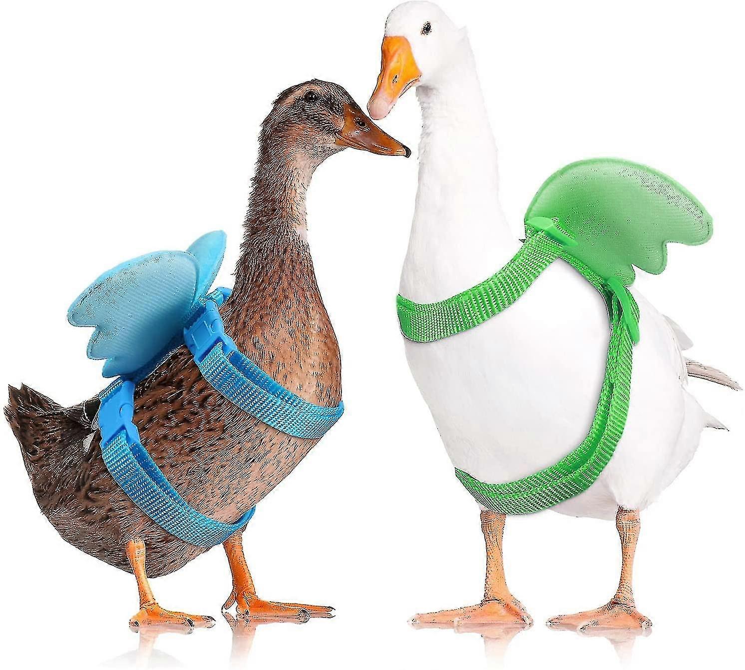 4 Pieces Pet Duck Outside Walking Harness Leash, Hen Chickens Harness ...