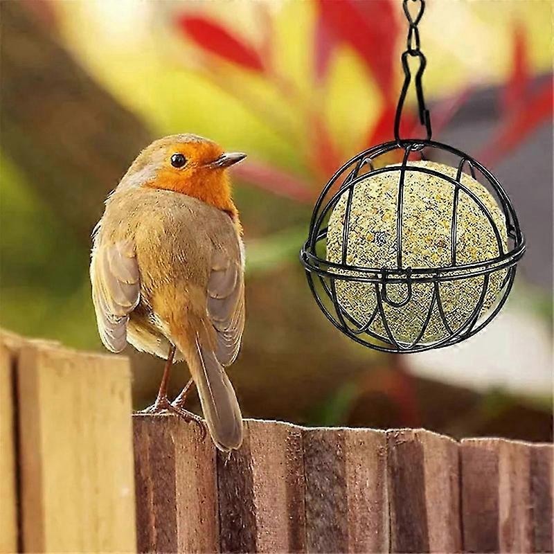 4Pcs Chit Ball Holder, Bird Feeder, Metal Hanging Bird Feeder, Fat Ball ...
