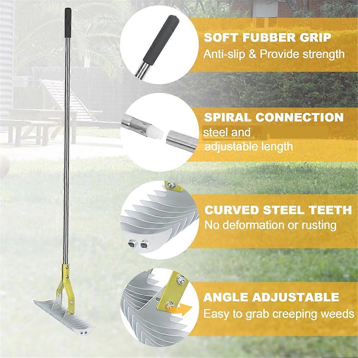 Lawn Dethatcher Rake Metal Dethatching Rake Dead GrassRake Lawn Soil ...