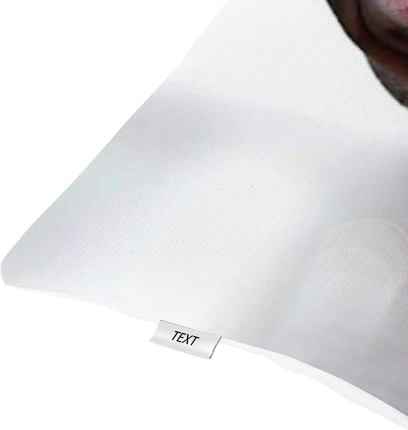 Tyler, The Creator Pudepude - Pop Art - Pudebetræk på lærred Single ...