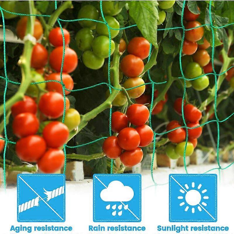Garden Netting, Climbing Plant Netting, Rowing Net for Harvesting ...