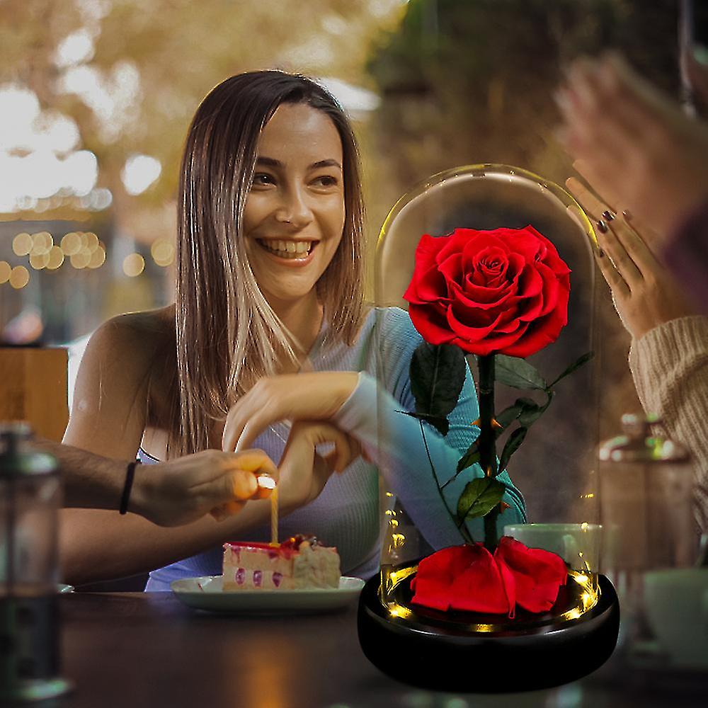 Beauté de la rose éternelle et la bête préservée Fleur de rose dans le ...