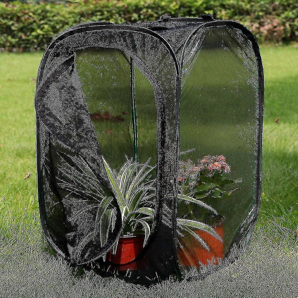 Insect And Butterfly Habitat Cage Portable Insect Monarch Mesh Net ...