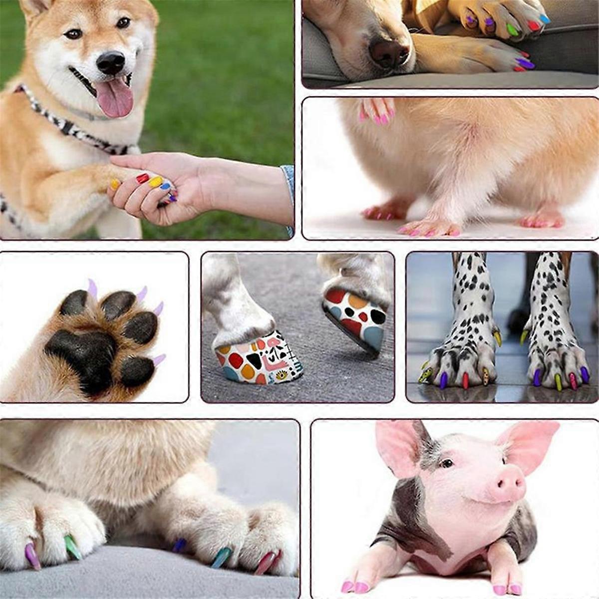 Pet Nail Polish for Cats Fast Drying Multipurpose Nail Polish 12 Colors ...