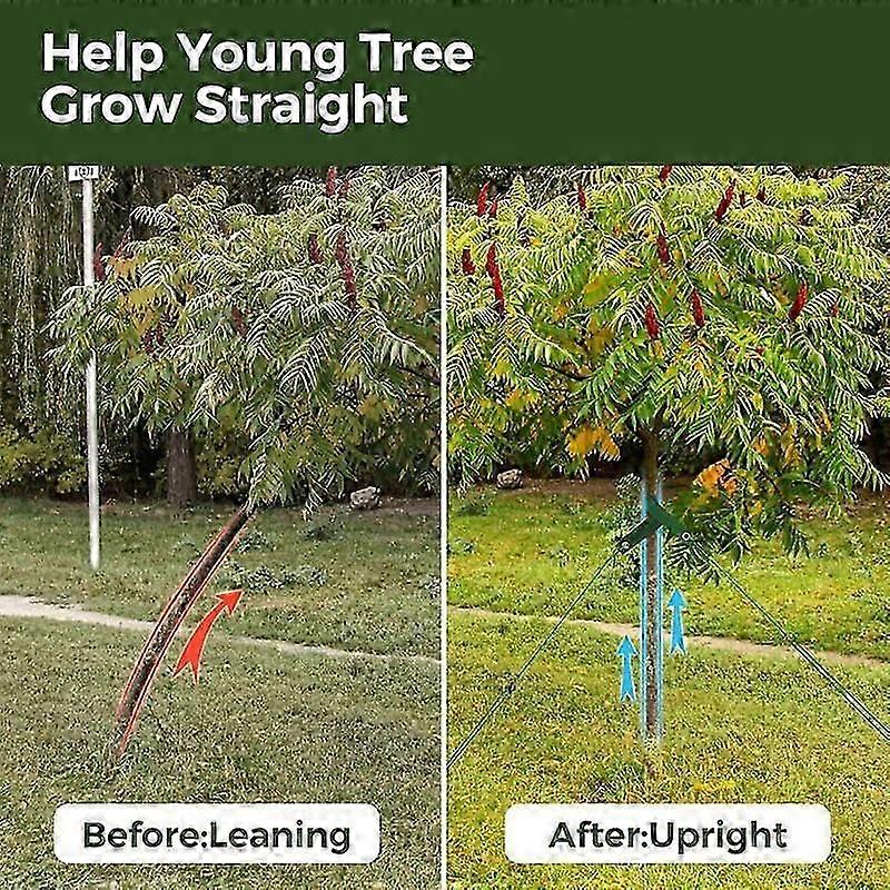 Tree Stakes And Supports For Leaning Trees, 3pcs 11.8inch Spiral Tree ...