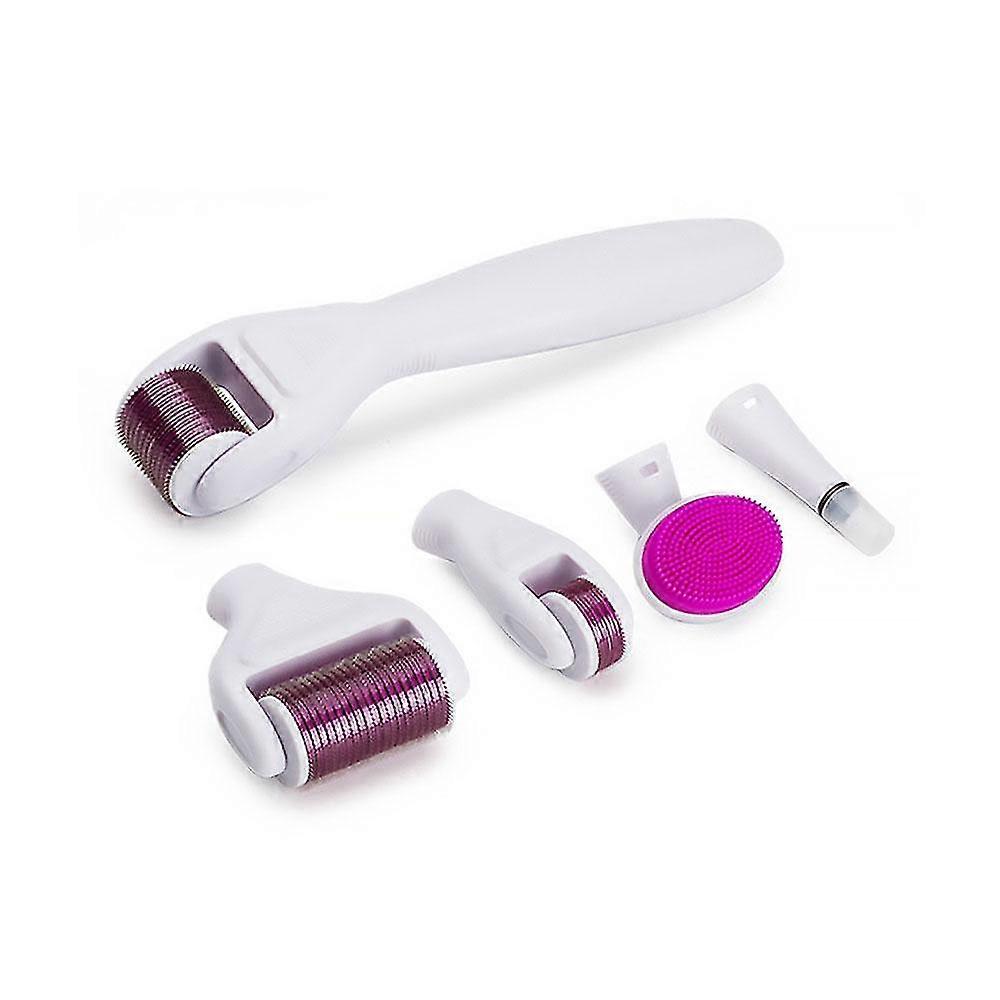 6 IN 1 Derma Roller Kit Needle Skin Care Face Hair Growth Stimulation ...