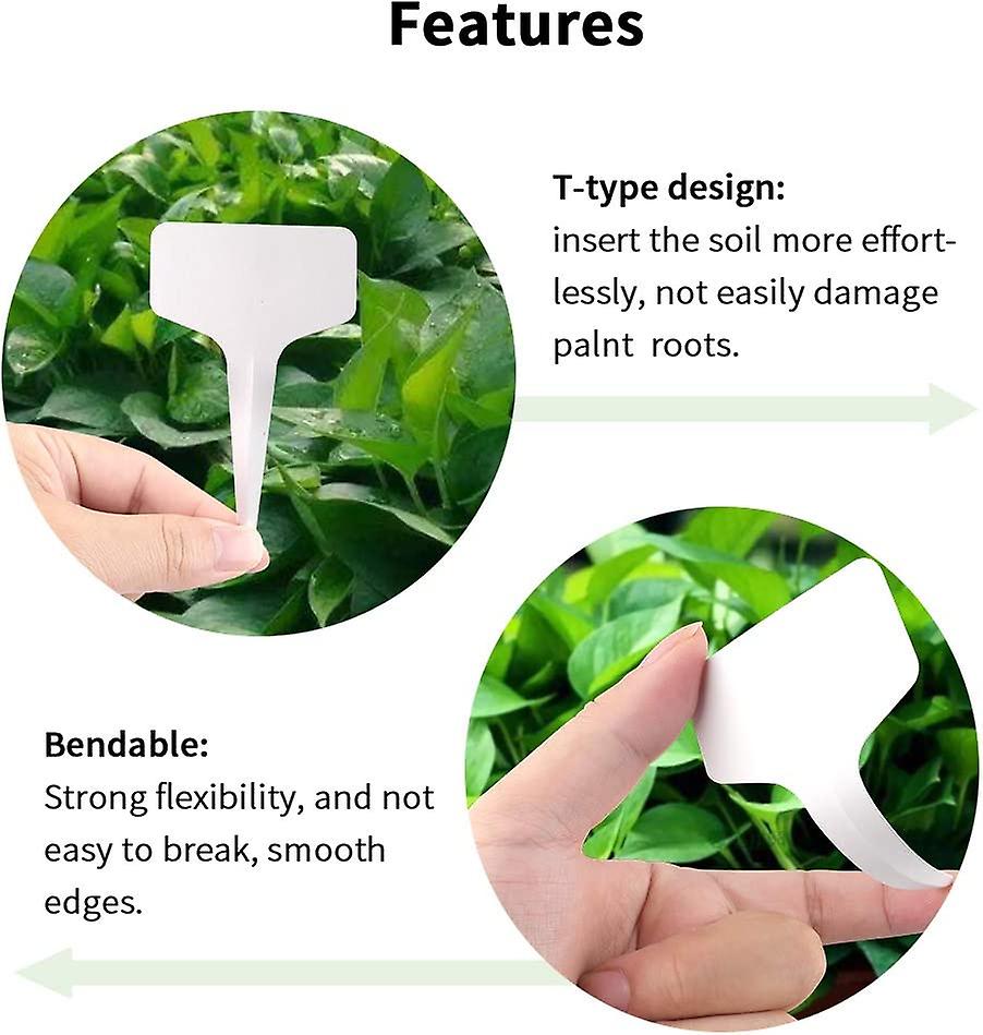 Kinglake 100 Pieces Plant Label Seedling Label Vegetable Garden ...
