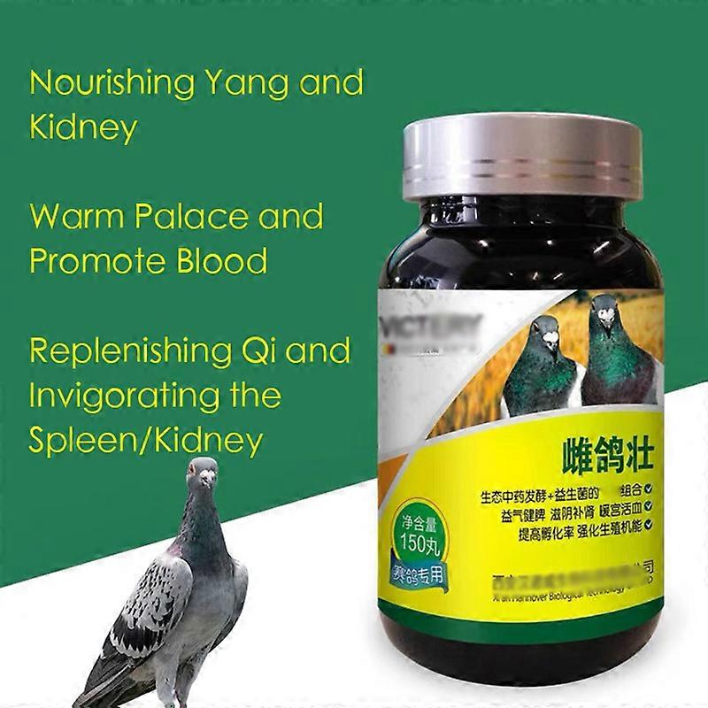 The hens, strong breeders, conditioning, increase eggs and do not lay ...