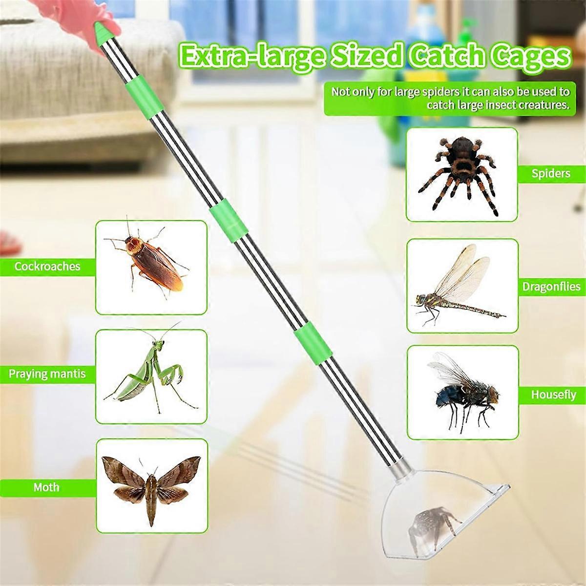Spider and Insect Catcher - 32inch Adjustable Long-Handled Spider ...