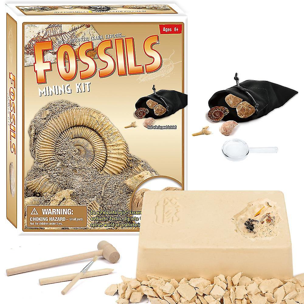 Mega Fossil Dig Kit Excavate 55 Real Fossils Including Dinosaur Bones ...
