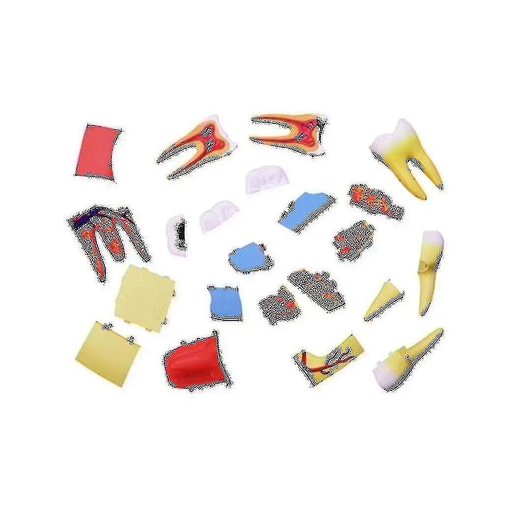 -torso Human Body Model Removable Parts Education Organs Model For ...
