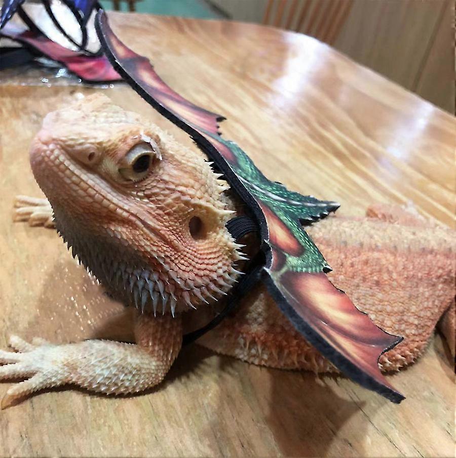 Climbing Pet Leather Wings Chest Strap Lizard And Other Small Pet ...