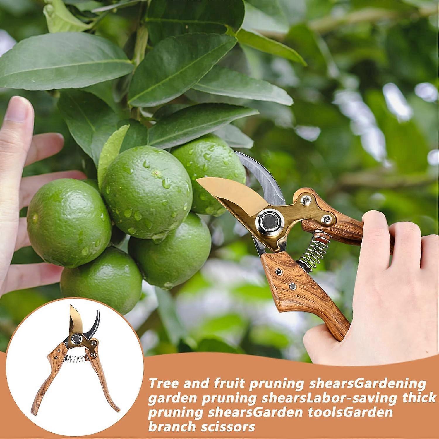 Garden scissors, 215 mm SK5 steel plant scissors, top-quality pruning ...