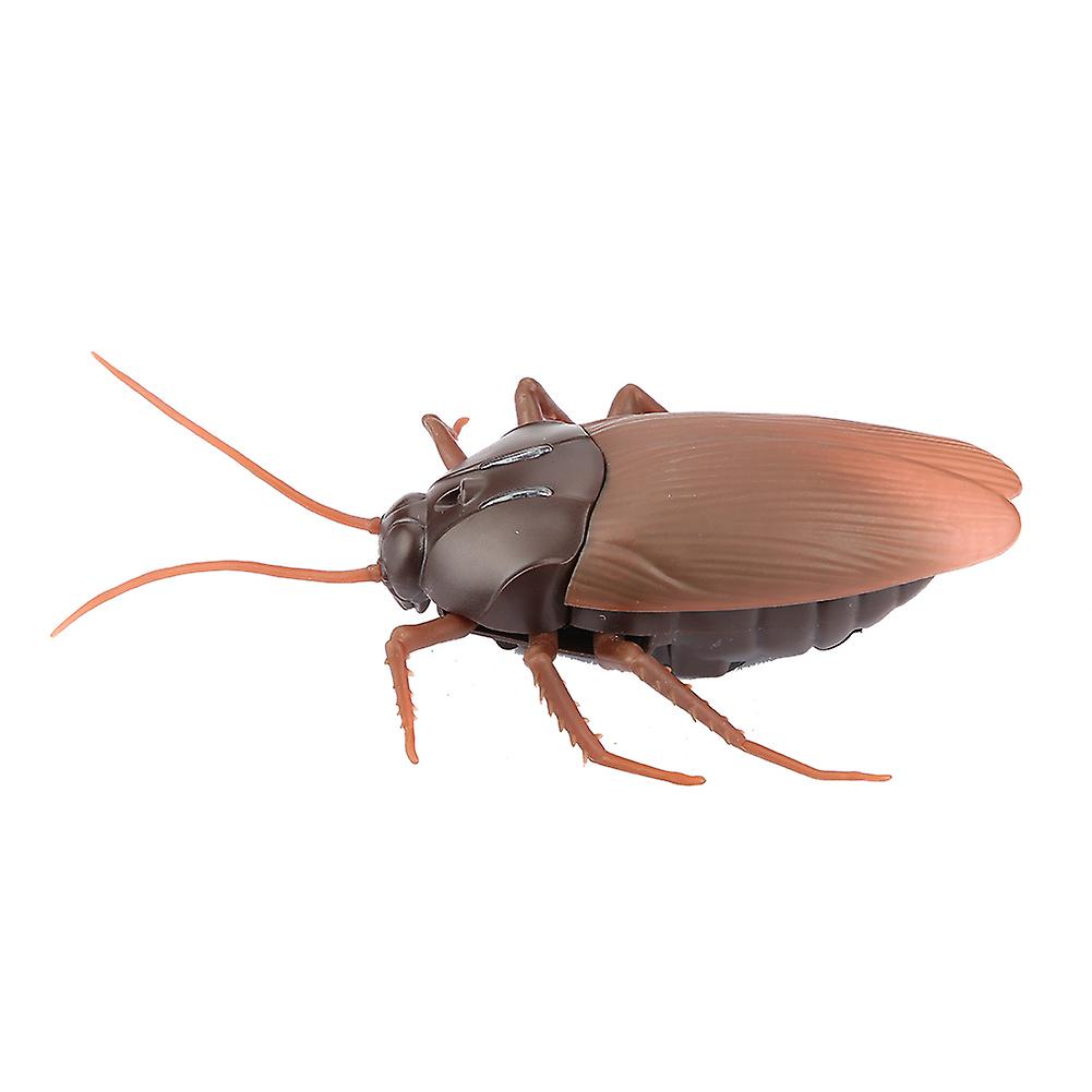 Remote Control Fake Cockroach Toy for Kids - Scary and Funny Insect ...