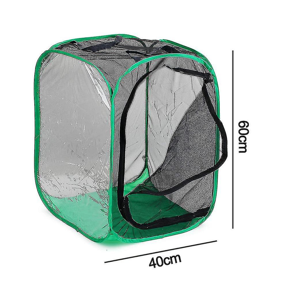 Tall Large Butterfly Habitat Cage Collapsible Terrarium Pop-up , Insect ...