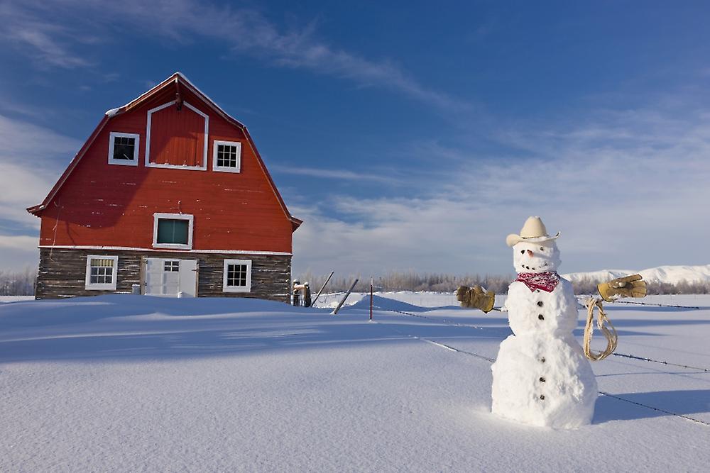 Snowman Dressed Up As A Cowboy Standing In Front Of A Vintage Red Barn ...