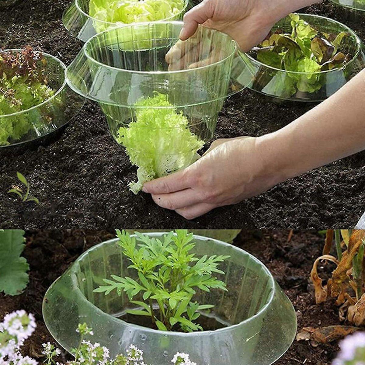 6pcs protection slugs vegetables covers plant snail collar guard garden ...