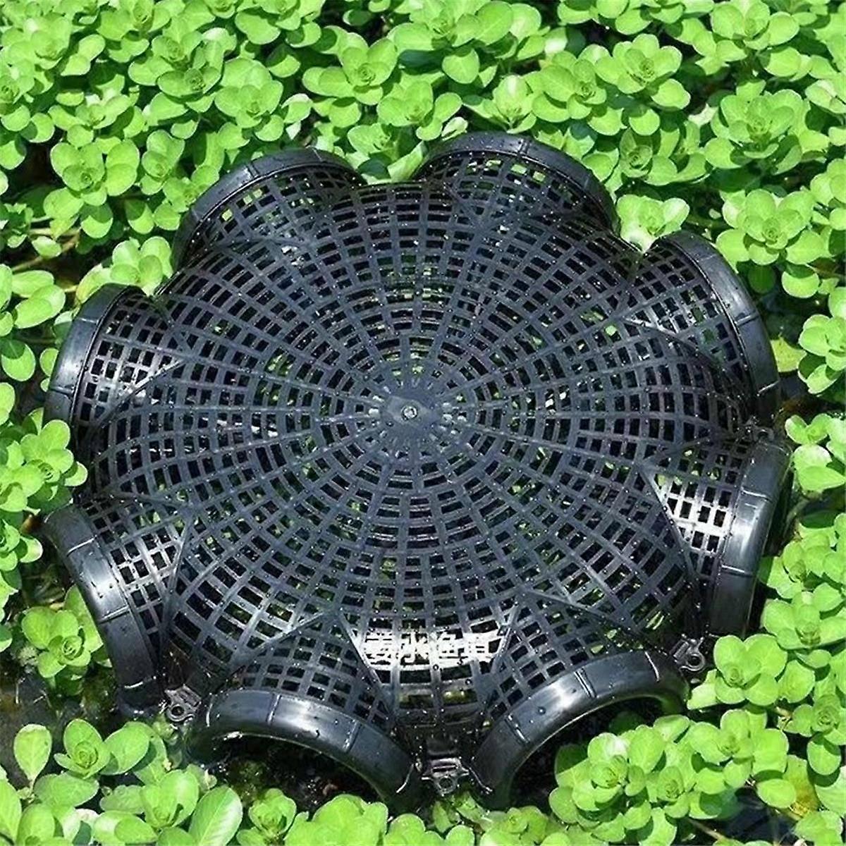 Folding Crayfish Catcher Casting Fish Network Crab Crayfish Shrimp ...