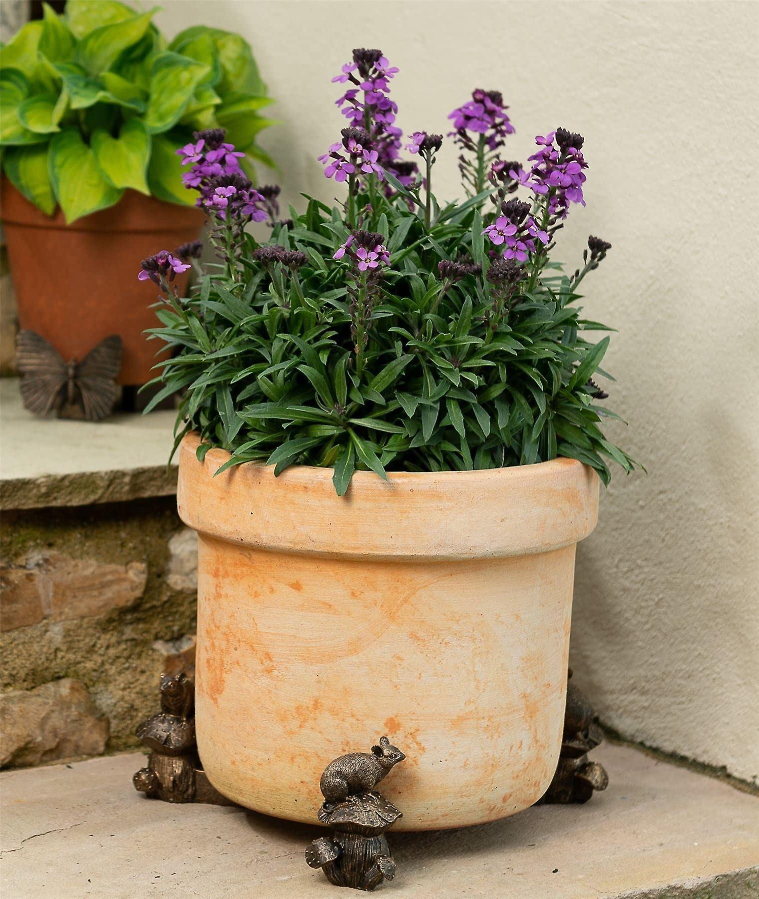 Potty feet Mouse, Pot Buddy Topffüße, Set | Fruugo UK