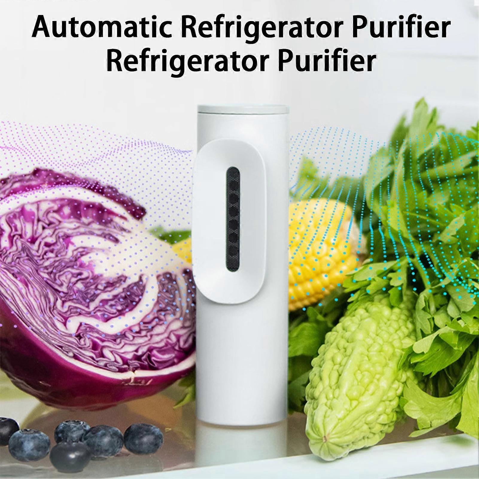 Mini Fridge Deodorizer USB Charging Portable Refrigerator Deodorizer ...