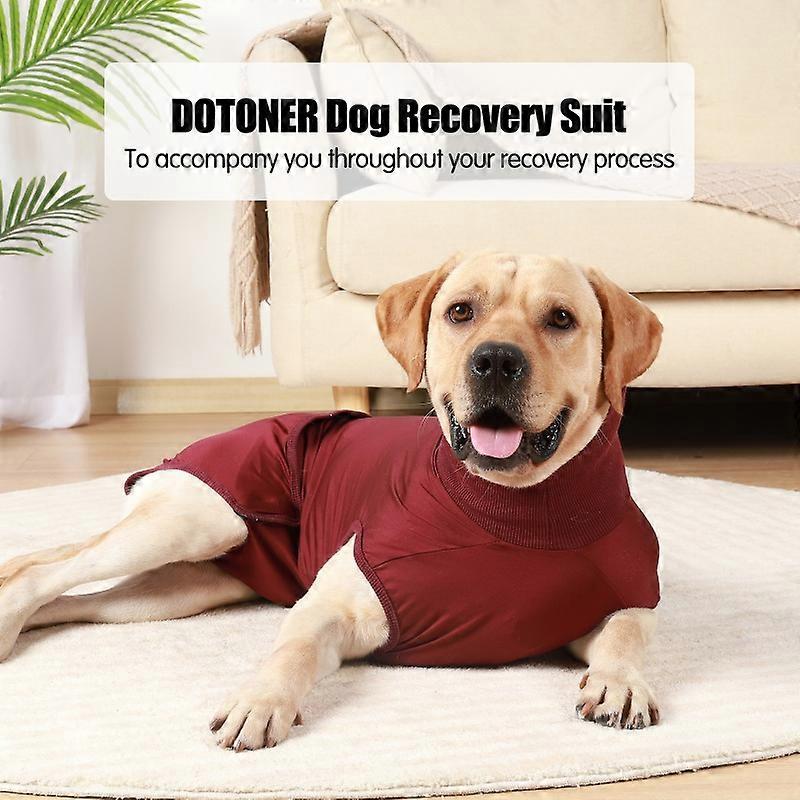 Dog Recovery Suit Post-Operative Vest Pet After Surgery Abdominal Wound ...