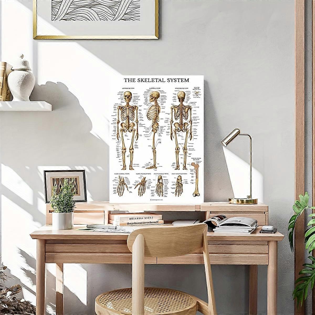 1pc Decorate Wall Print, Anatomy Posters, Human Musculature Anatomical ...