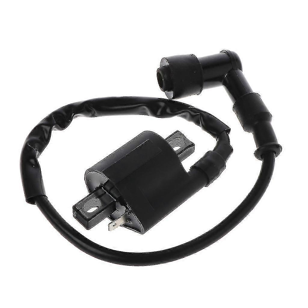 Ignition Coil For 50cc 150cc 200cc 250cc Atv Scooter Motorcycle Quad ...