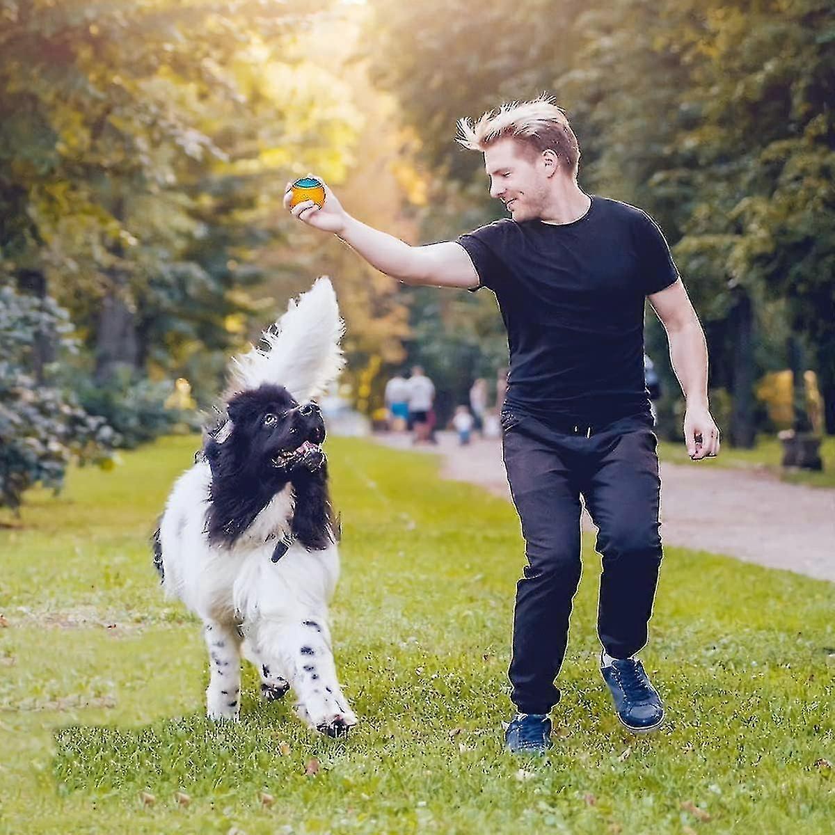 3pcs Squeaky Dog Ball, Scooby Doo Dog Ball Toy Teeth Cleaning Puppy ...