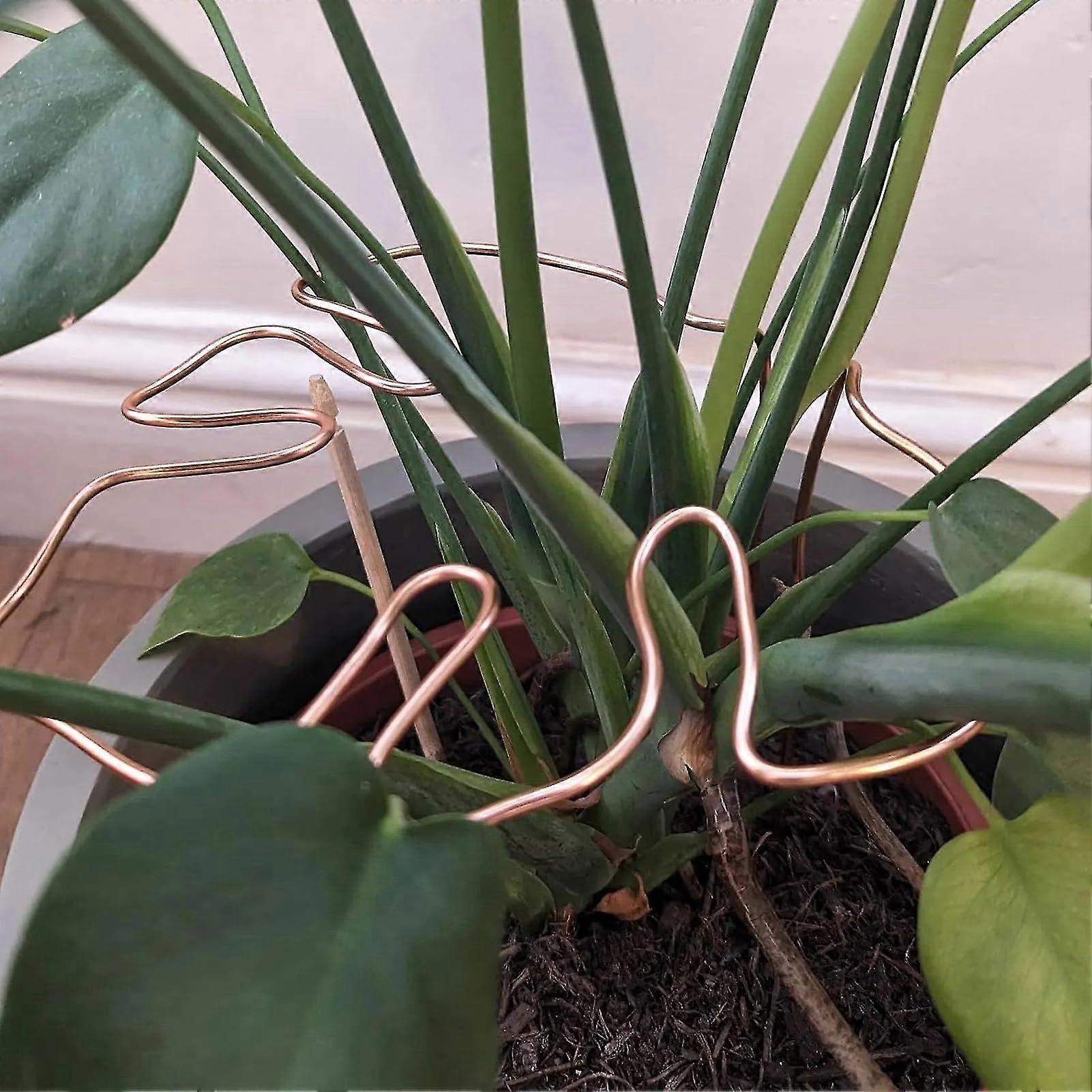 Monstera Formad Växt Stativ, Söt Bladformad Växt Burar och Stöd ...