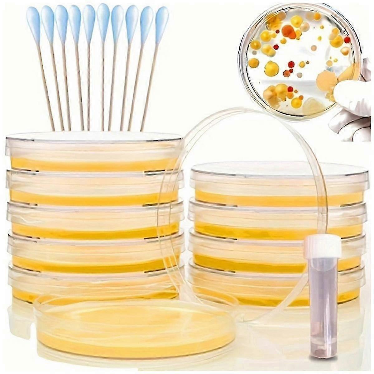 Dish Science Project Kit, Sterile Dish, Dish Cell Observation ...