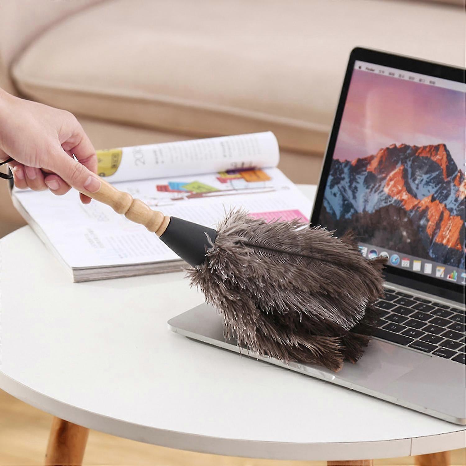Feather Duster Anti-static Washable Recyclable Cleaning Ostrich Hair ...