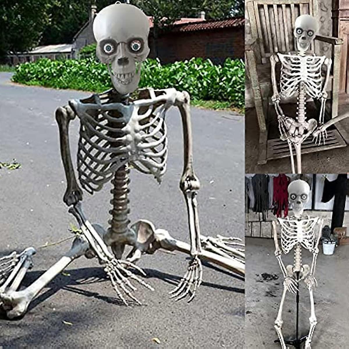 Halloween Skeletons Life Size Posable Realistic Full Body Skeleton with ...