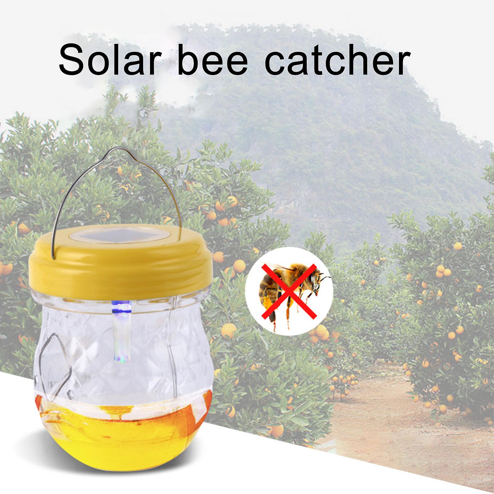 Garden Fruit Flies Bees Traps Waterproof With Lights Bees Traps For ...
