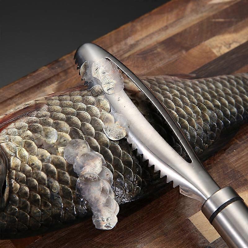 304 Stainless Steel Fish Scales Planer Scale Scraper Fish Brush Remove ...