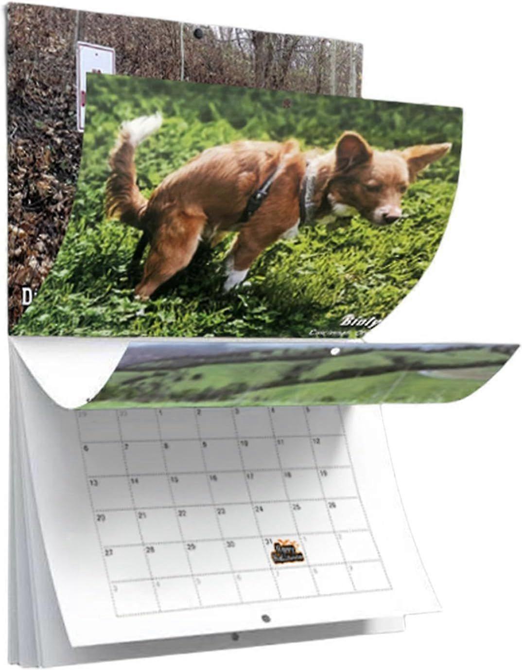 2024 Calendar of Dogs Pooping Beautiful Places | Wall Art Monthly ...