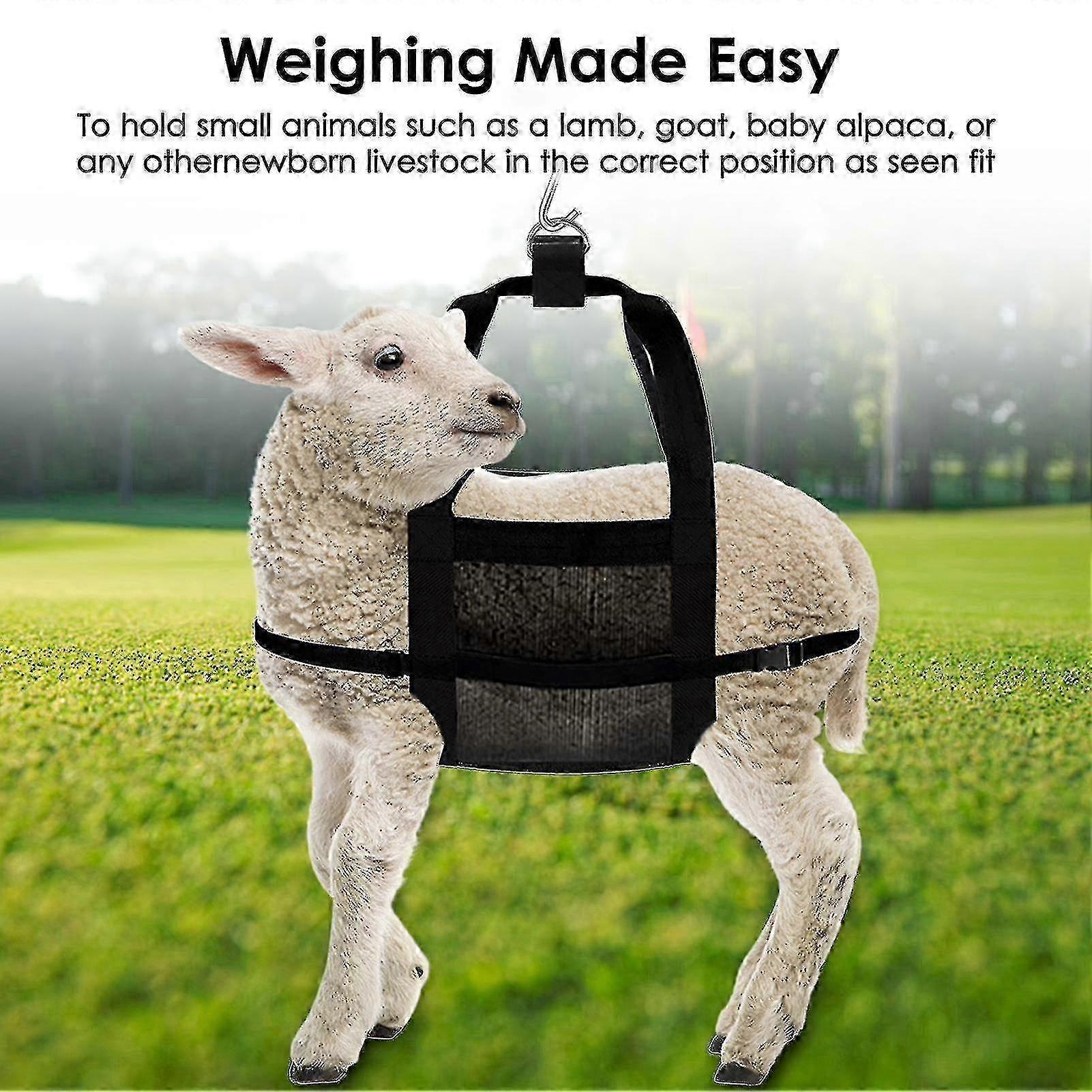 Calf Sling For Weighing Animals, Calf Scale Hanging Weight Scale Sling ...
