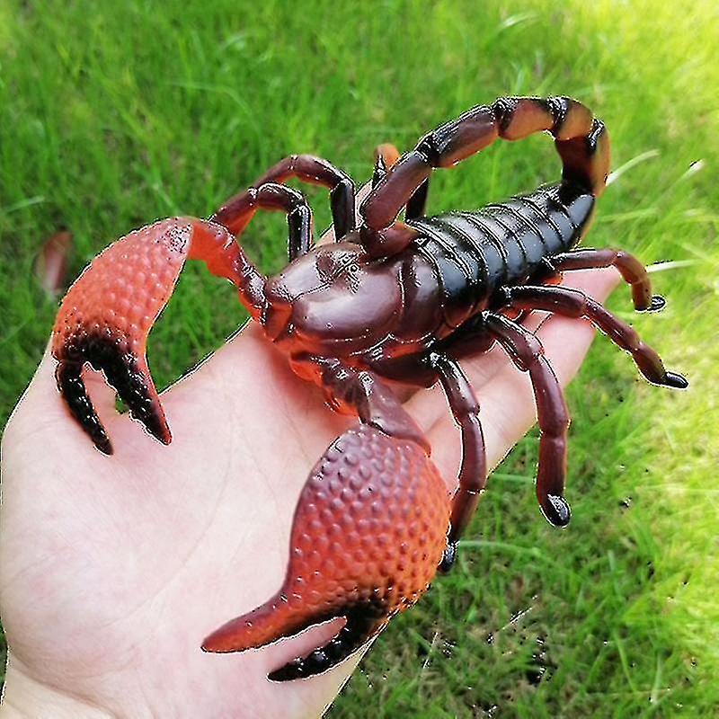 Insect Simulation Model Toys Simulation Wildlife Model Ornaments Creepy ...