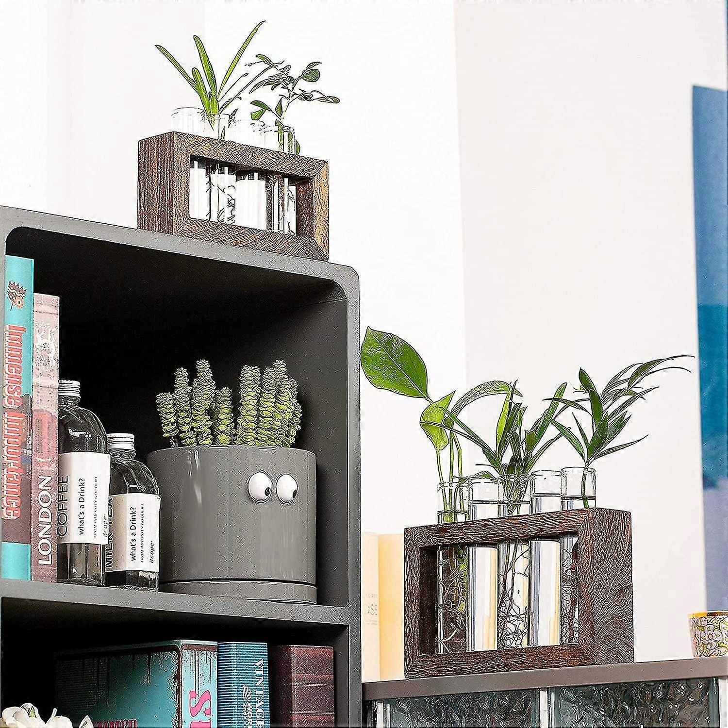 New,suitable Wall-mounted Hanging Flower Pots 9 Test Tubes, Glass ...