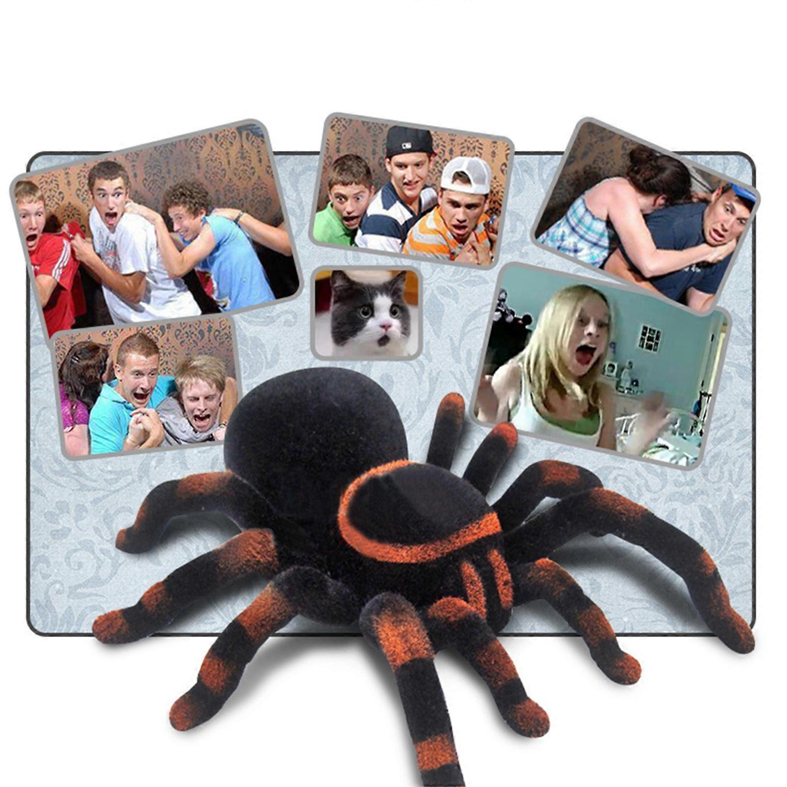 Creepy Crawling Remote Control Spider, Realistic Large Control Spider ...