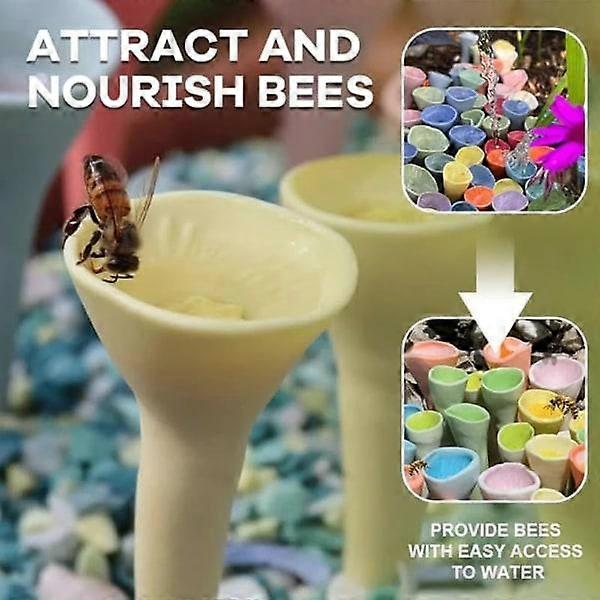 Colorful Bee Drinking Cup - Quench the thirst of your pollinators! Bee ...