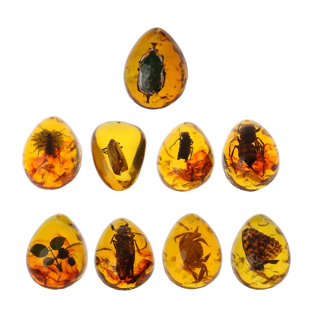 Animals Amber For Butterfly Insects Stone Pendant Necklace Gemstone For ...