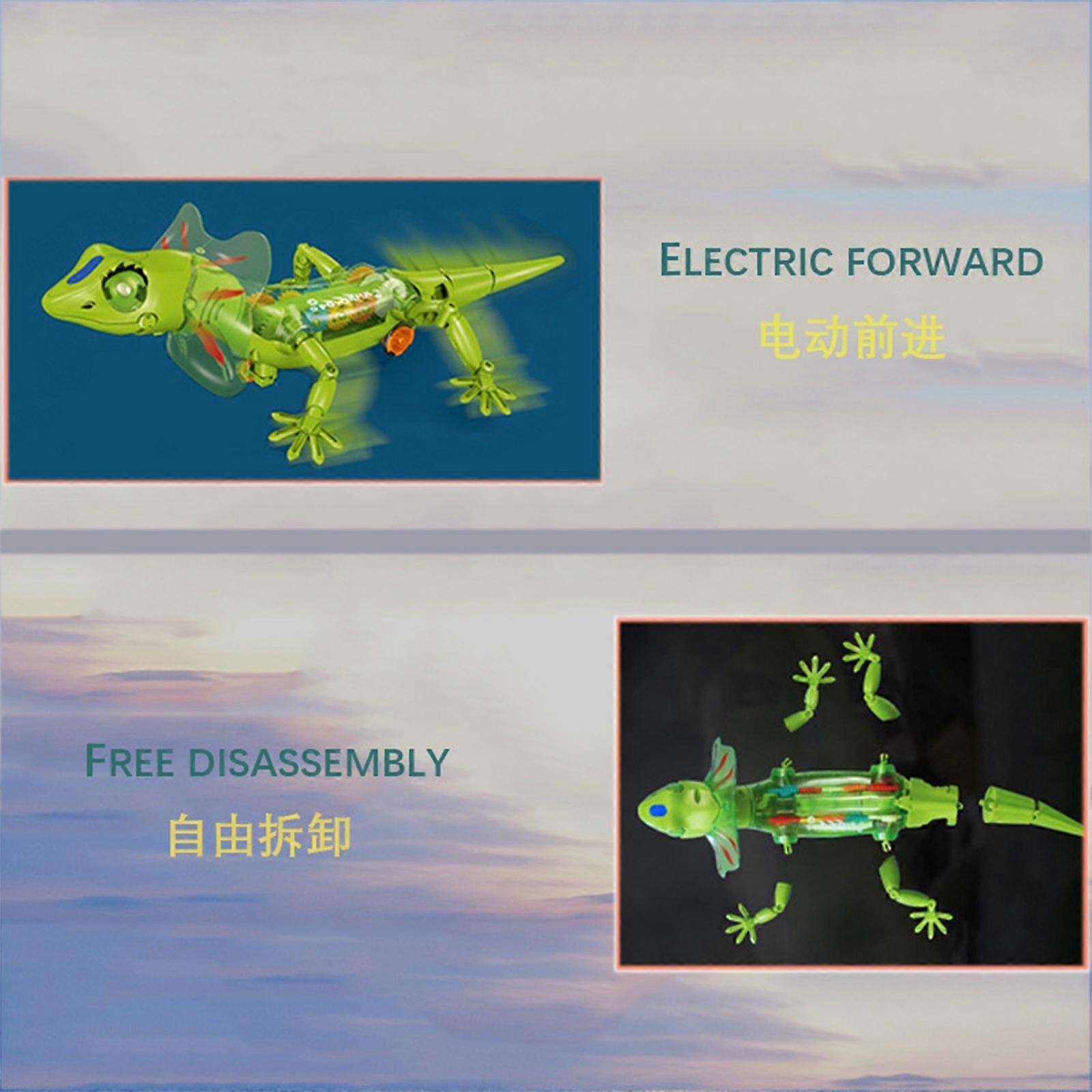 Electric Lizard Toy Sound And Light Lizard Transparent Internal Gear ...