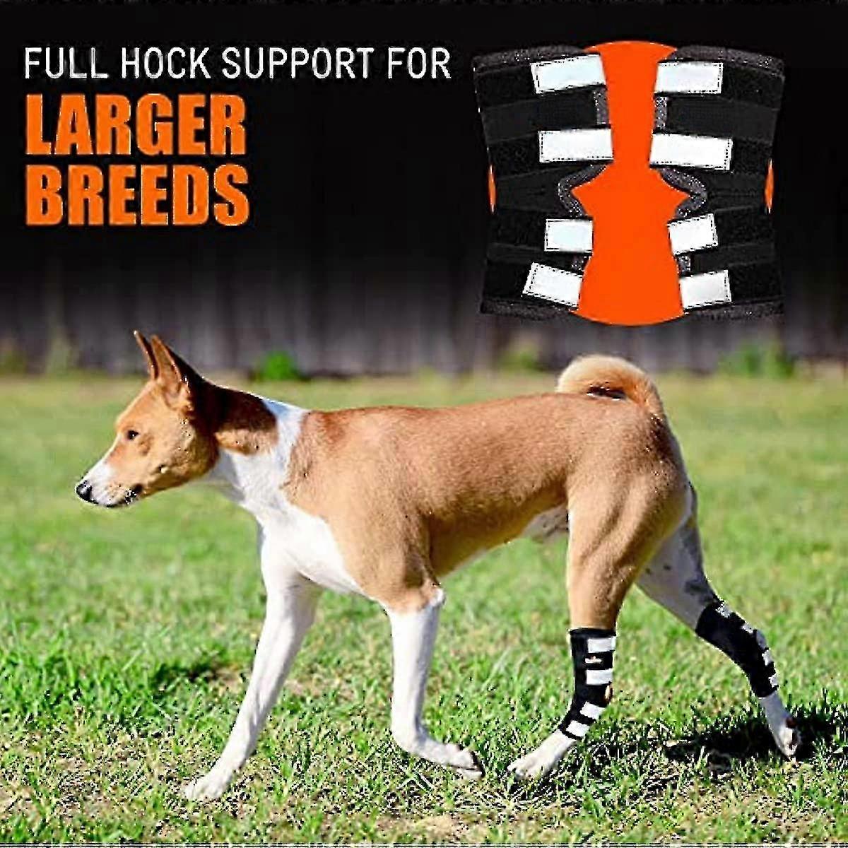 Dog hock support for joint pain, rear leg brace with reflective straps ...