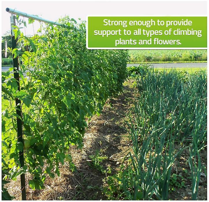 Gitternetz Wachsen Garten Blumen Grüne Erbse Weinrebe Pflanzen Mesh ...