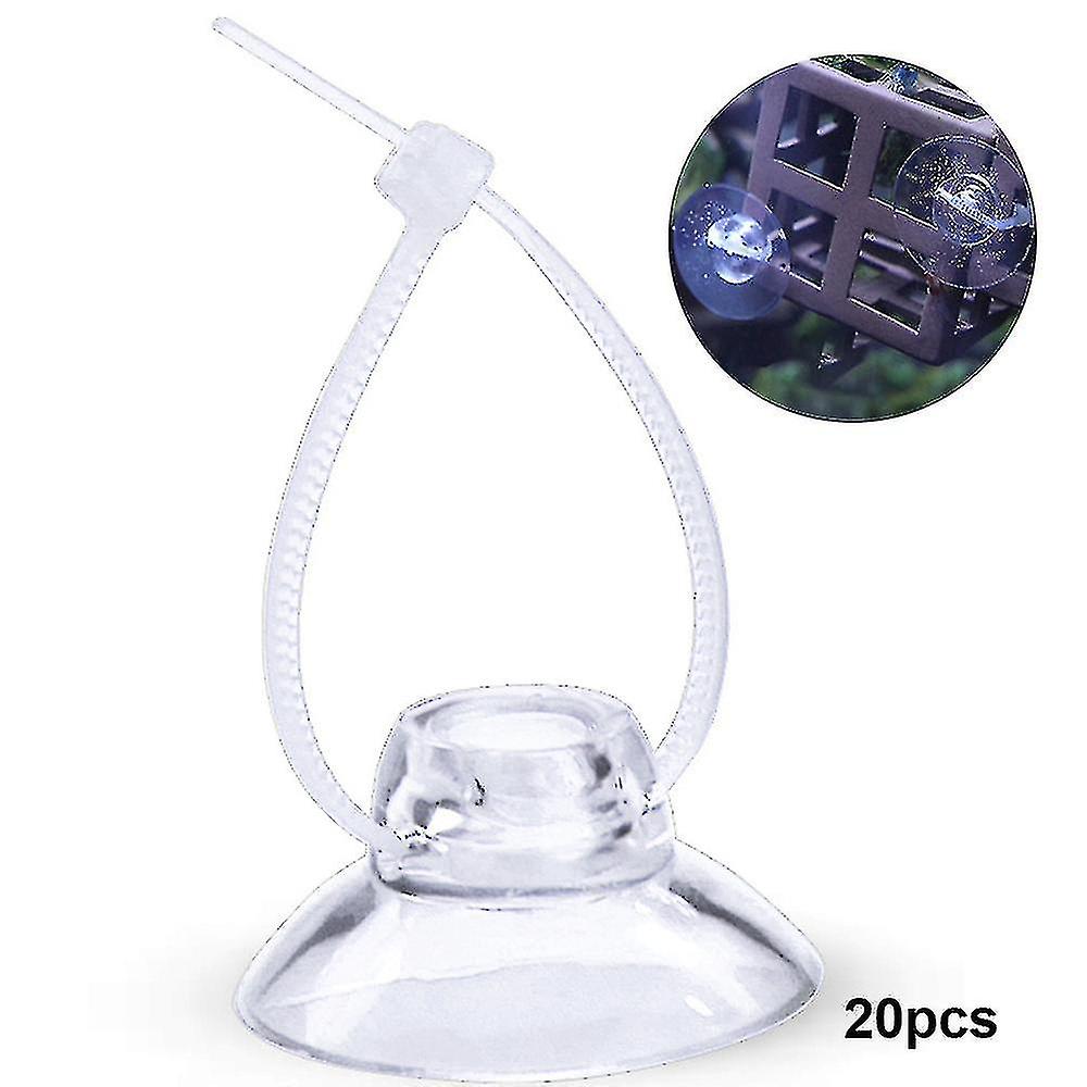 Aquarium Suction S Fish Tank Suction S Aquarium Suction Clip Suction ...