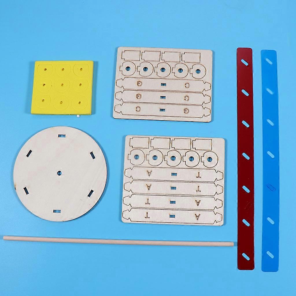 Human Genes Learning Toy DNA Helix Model Aid Biologic Science Models ...