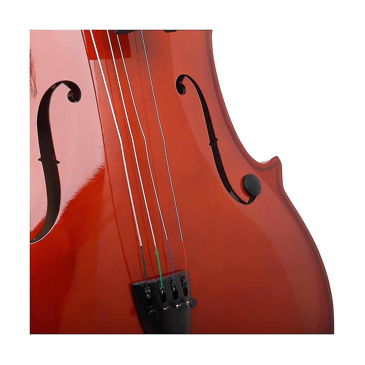 Cello Sound Hole Humidifier F Hole Violin Humidifier To Prevent ...